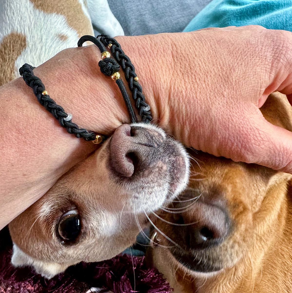 Angie's Lucky Stack - Moonstone & Gold Fill Elastic Bracelet Set – Modern Medusa